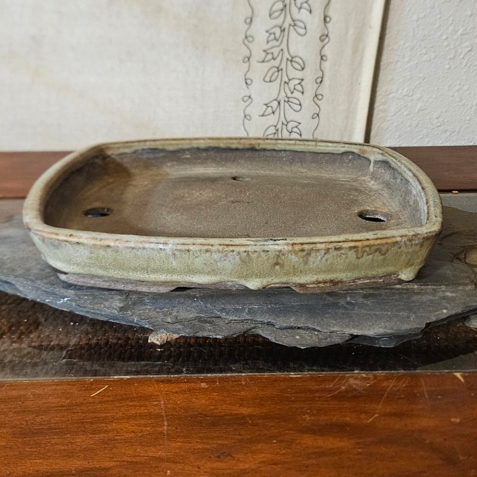 Medium Shallow Rectangular Sara Rayner Pot | Heartwoods Bonsai & Zen Arts