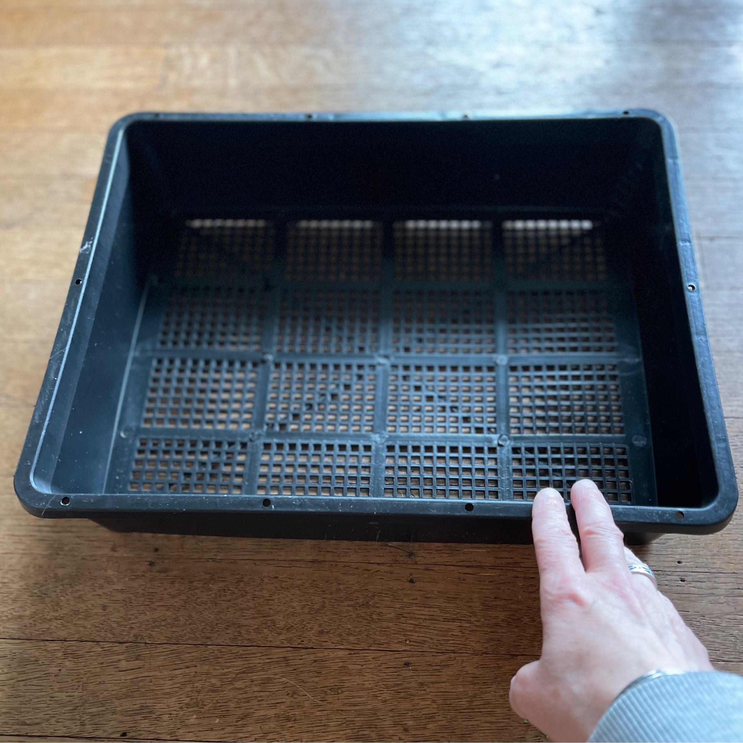 Mini Anderson Flats (14”x 12”x 3”d) | Heartwoods Bonsai & Goods